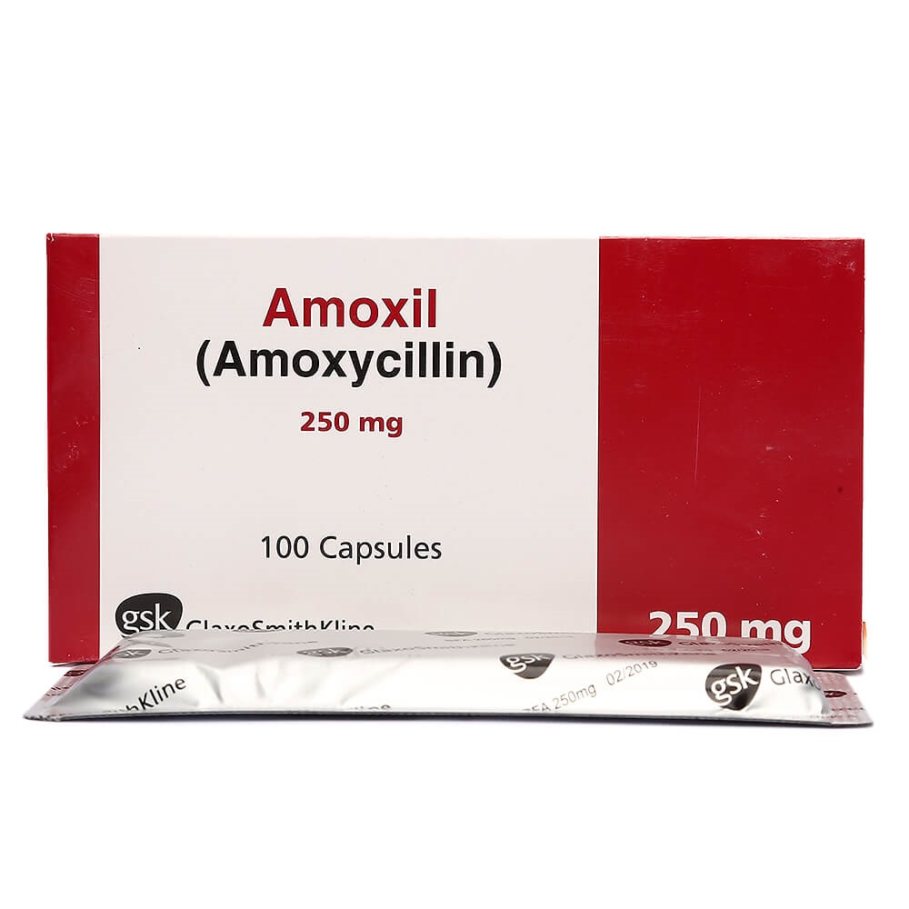 Acheter l’antibiotique Amoxil 250 mg/500 mg en ligne